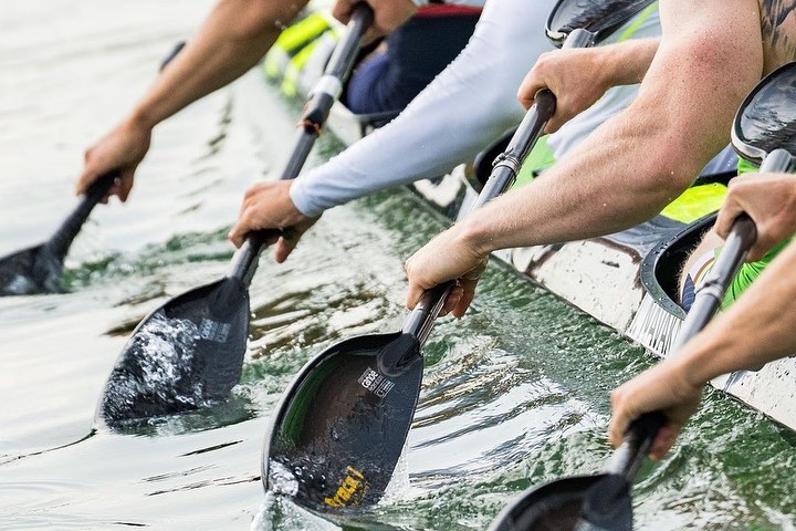 Braca Paddle Sizes Chart - I (1), IV (4), XI (11) Blade Options